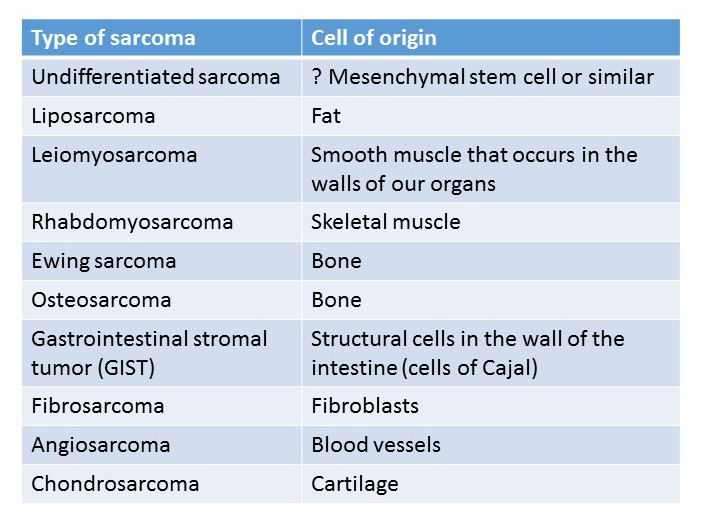 what is a sarcoma? | breelynwilkymd